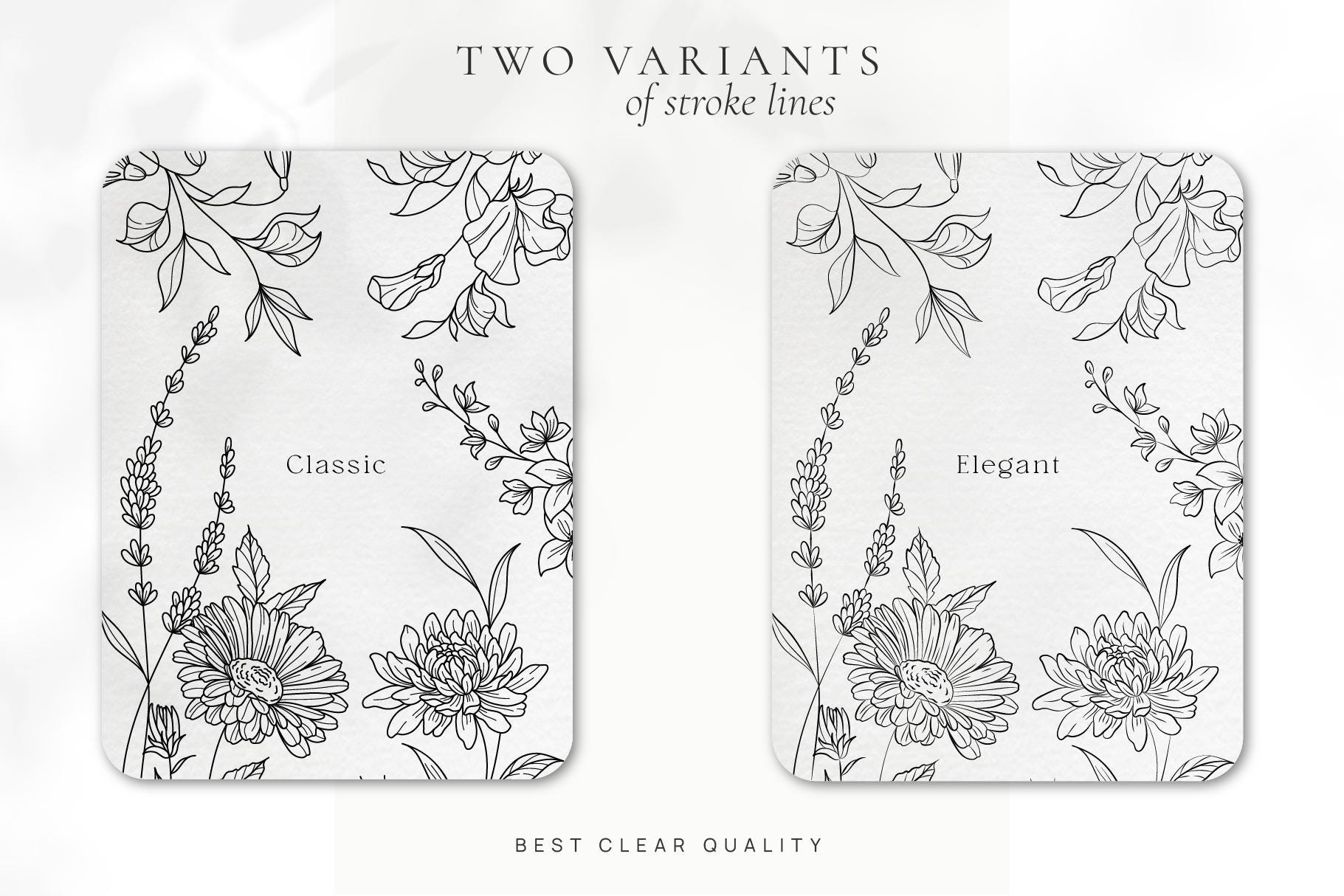 Birth Month Flowers, Birth Month Svg Bundle, Hand Drawn Vector ...