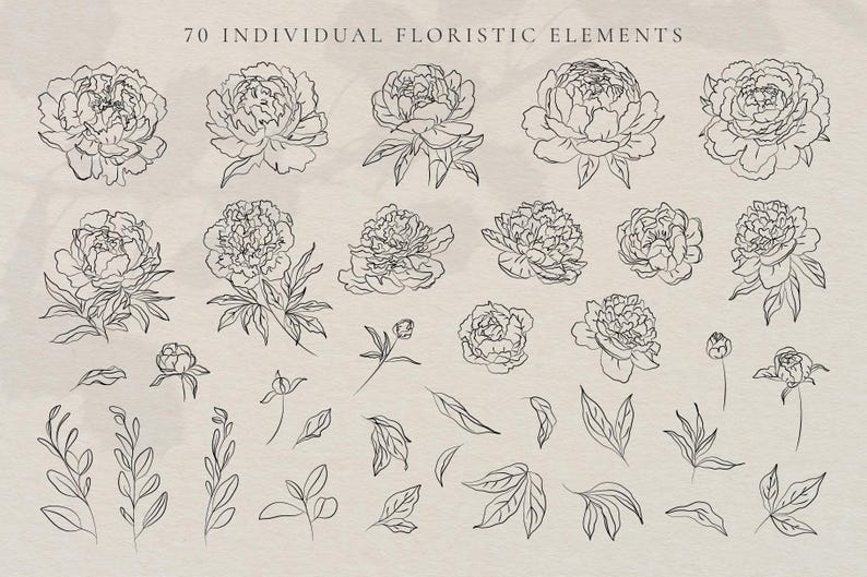 Minimalist Line Art Peonies, Floral Illustrations, Botanical Clipart ...