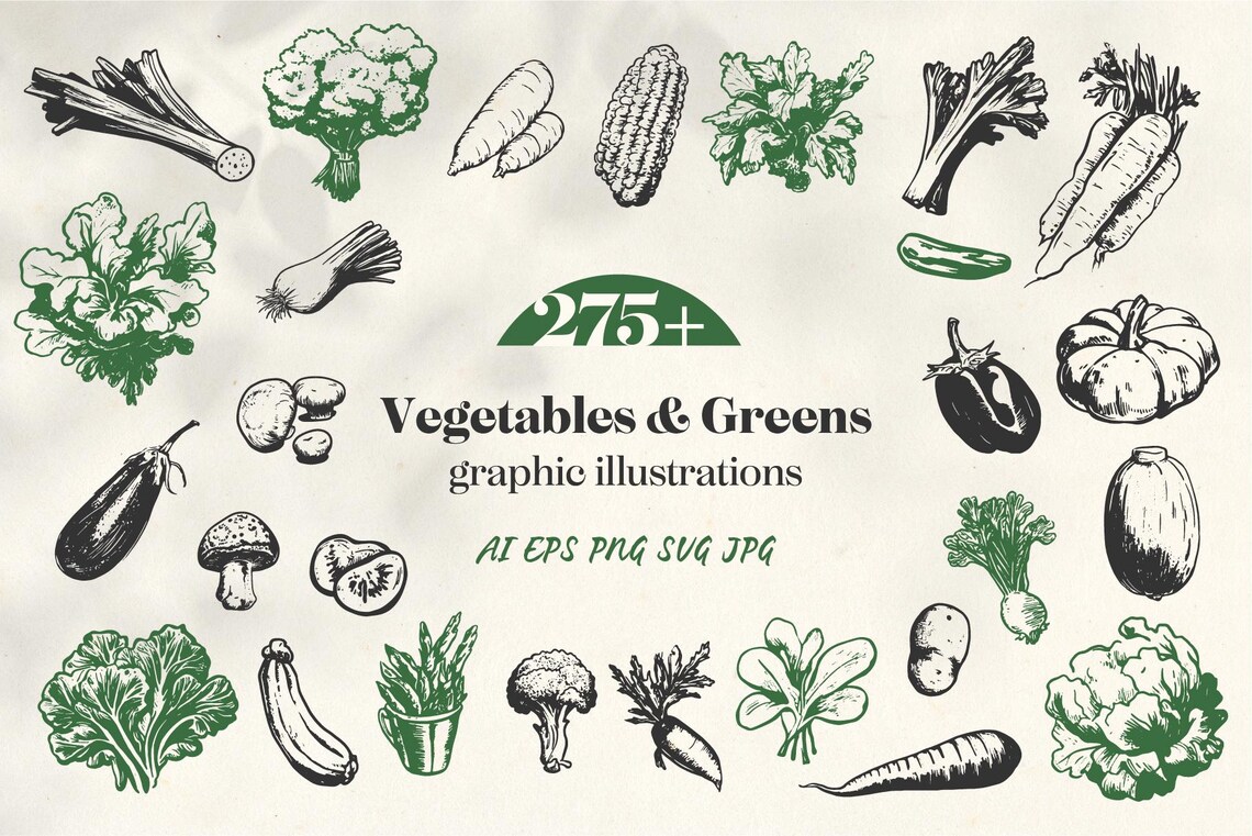 Hand-drawn Vegetable SVG PNG Bundle Illustrations, Veggie Doodles, Hand ...