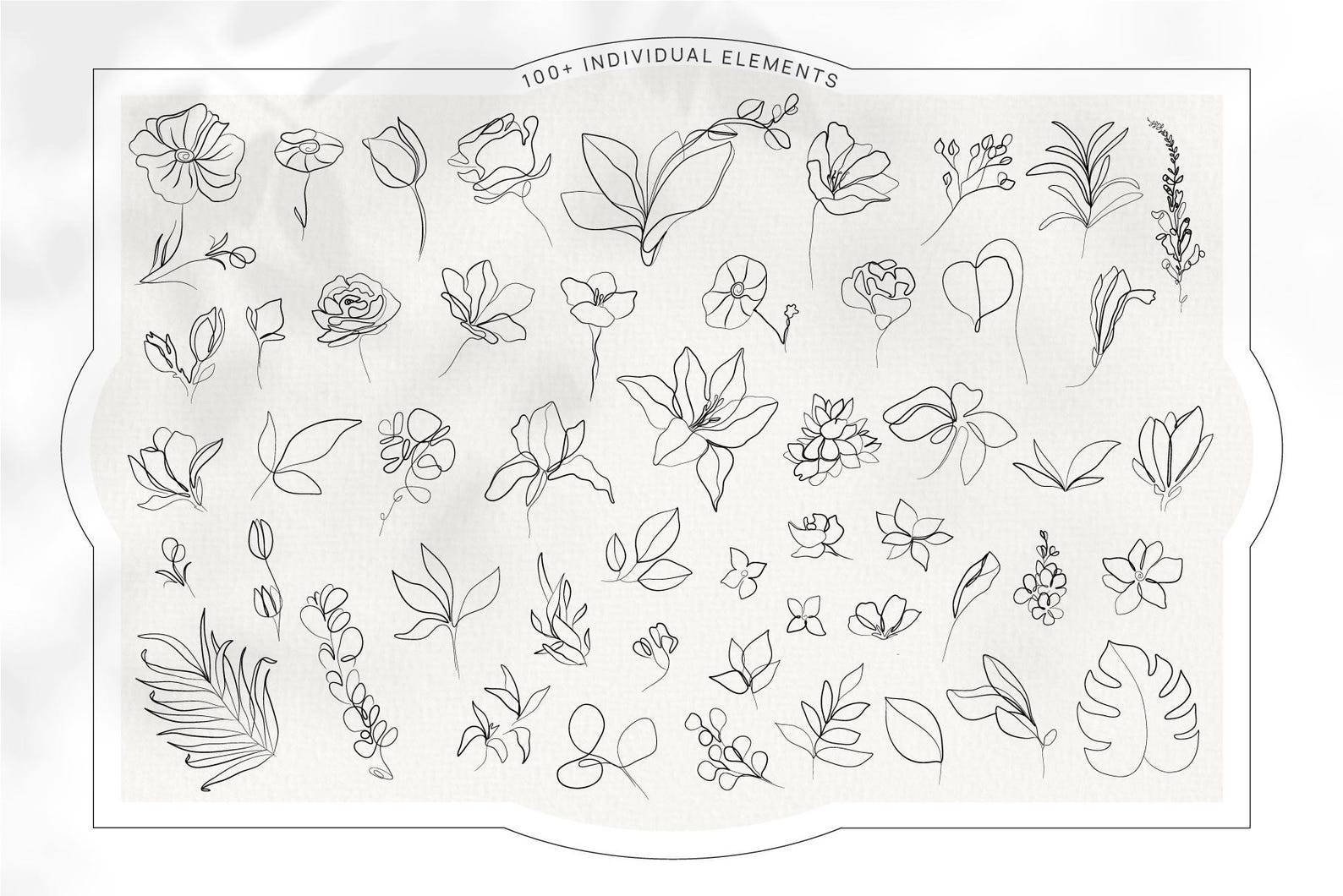 Abstract Flowers, Botanical Line Art, Minimalistic Line Flowers ...