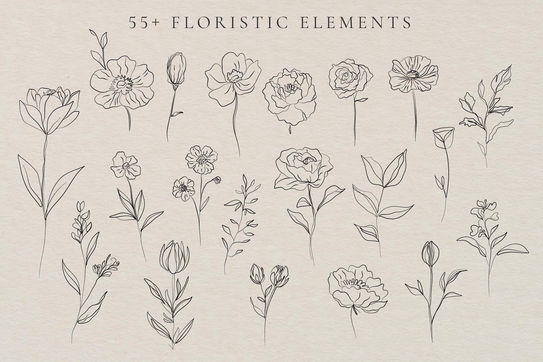 Flowers SVG PNG Bundle, Hand-drawn Floristic Line Art, Floral ...