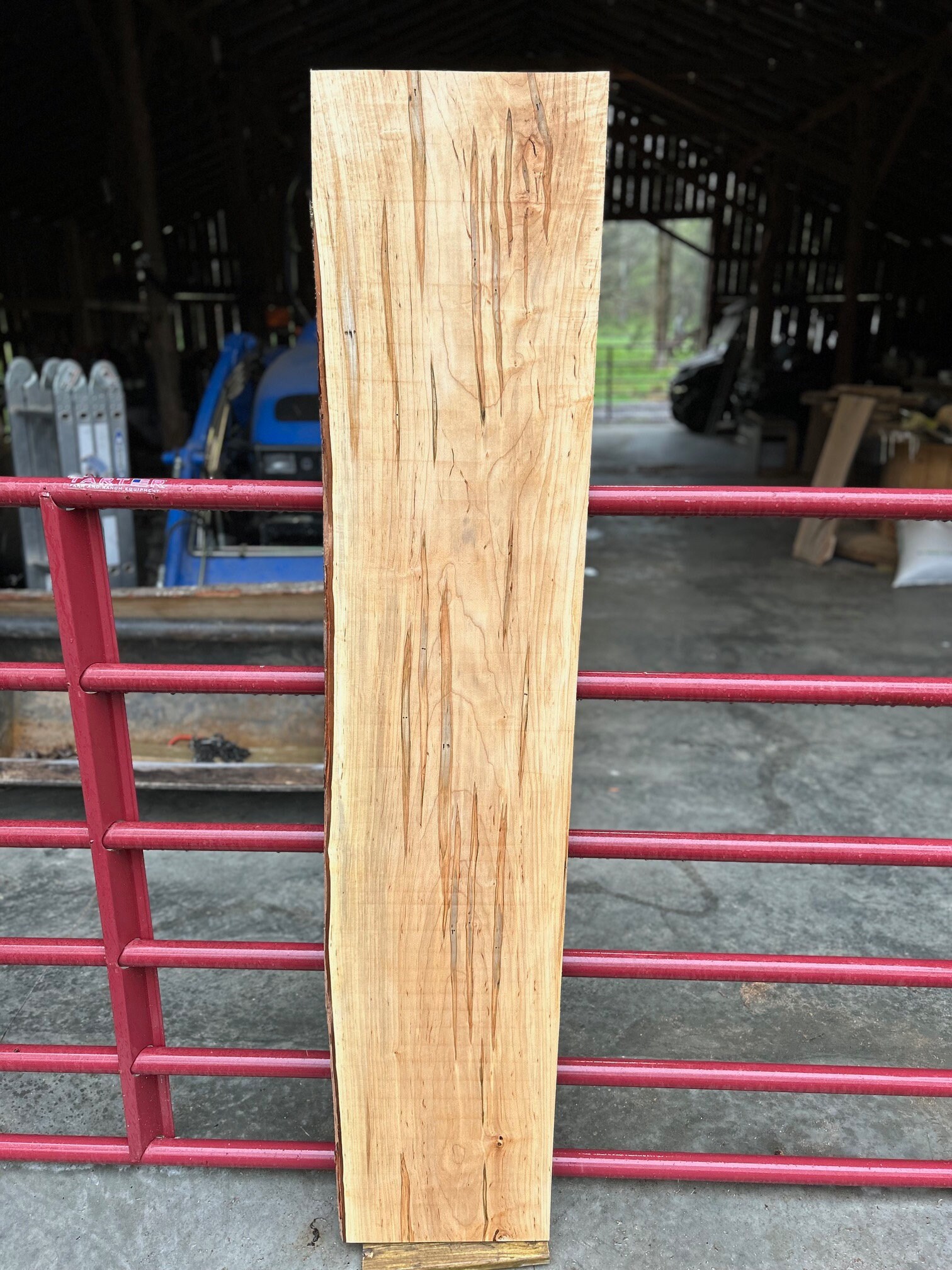 Ambrosia Maple Wood Ambrosia Maple Board Ambrosia Maple Slab - Etsy