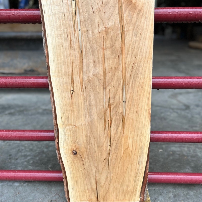 Ambrosia Maple - Etsy