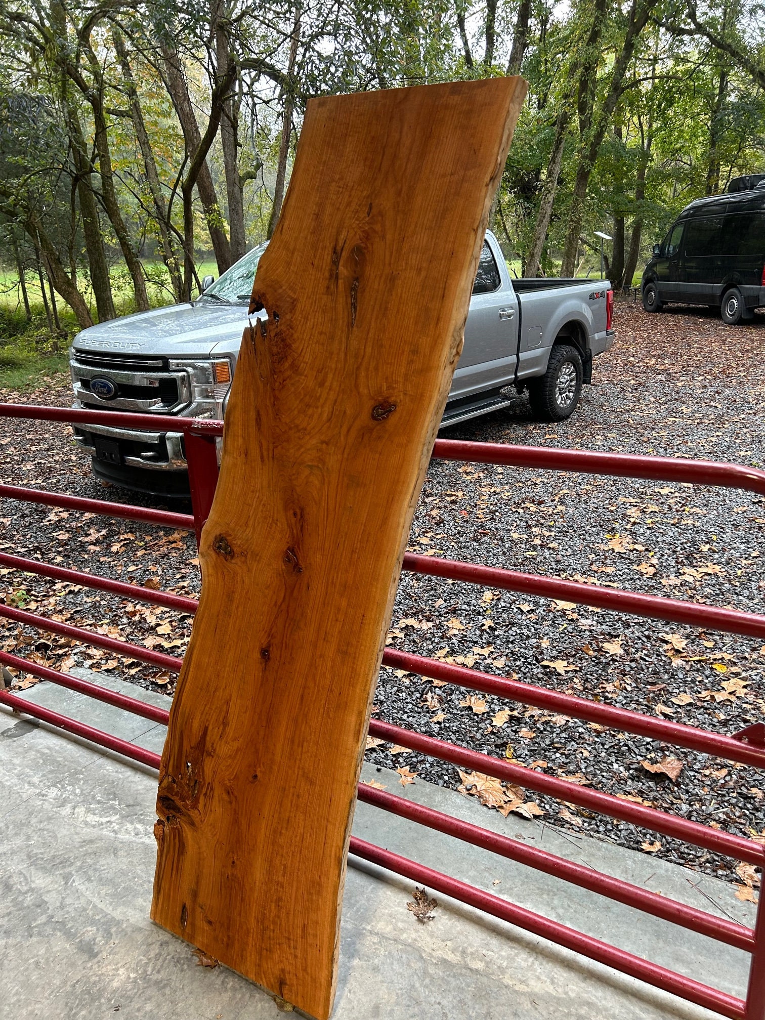 Black Cherry Slab Live Edge Slab Surfaced / Sanded on 1 - Etsy