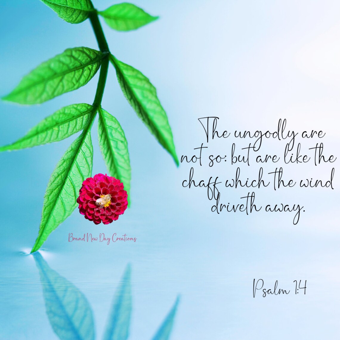 Psalm 1 - Digital Scripture Memory Cards | Instagram-worthy MP4 ...