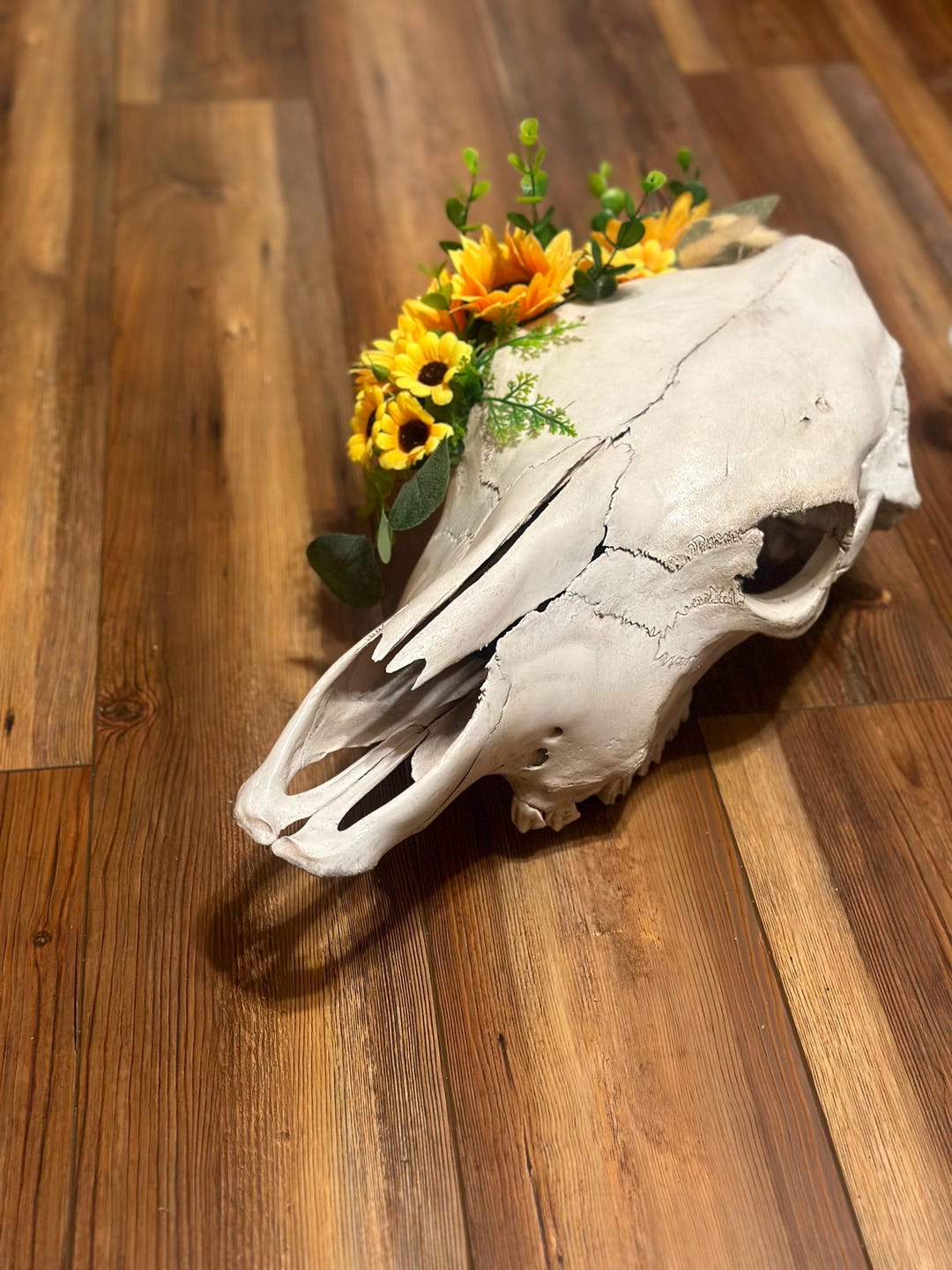 Authentic Western Cow Skull Art - Etsy