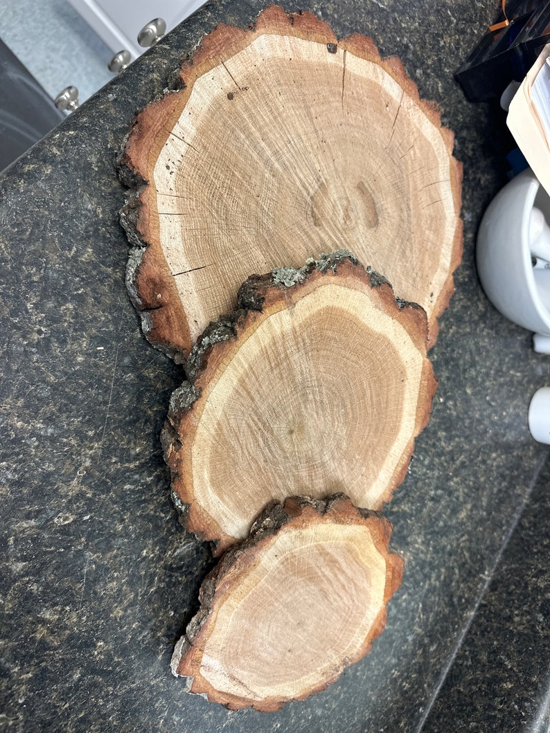 Live Wood Slabs From Aged Oak - Etsy