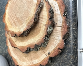 1 Pine Wood Sign Rustic Blank Canvas - Etsy