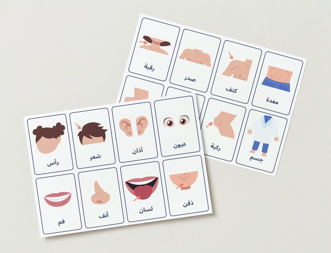 Arabic Body Parts | 22 Flashcards | Nomenclature Cards | PDF Printable ...