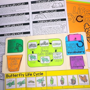 Life Cycles Lapbook Teach Life Cycles Reading Passages Life Cycles ...