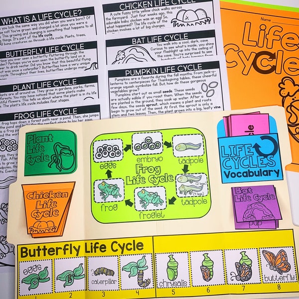 Frog Life Cycle - Etsy