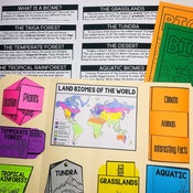 Geography Lapbook Teach Maps & Globes Geography Reading Passages ...