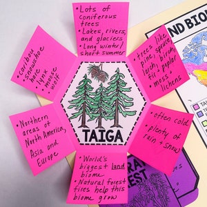 Biomes Lapbook Homeschool Biomes Reading Passages Biomes Maps ...