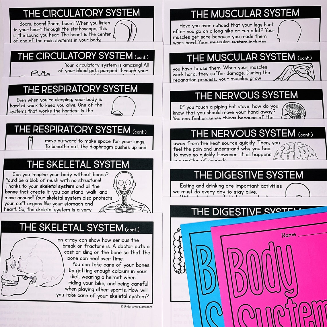 Human Body Unit Teach Human Body Systems Passages Body Systems Posters ...