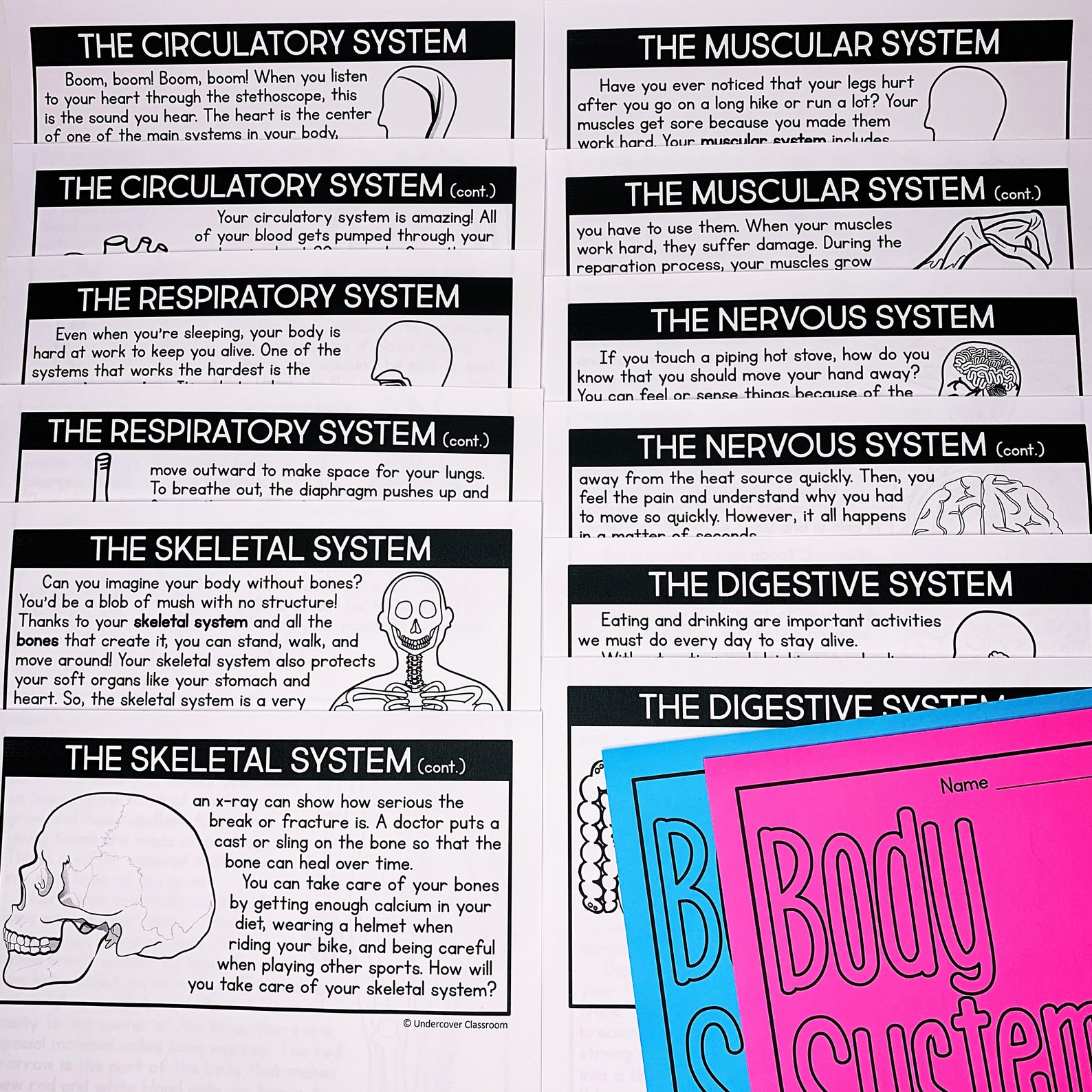Human Body Unit Teach Human Body Systems Passages Body Systems Posters ...