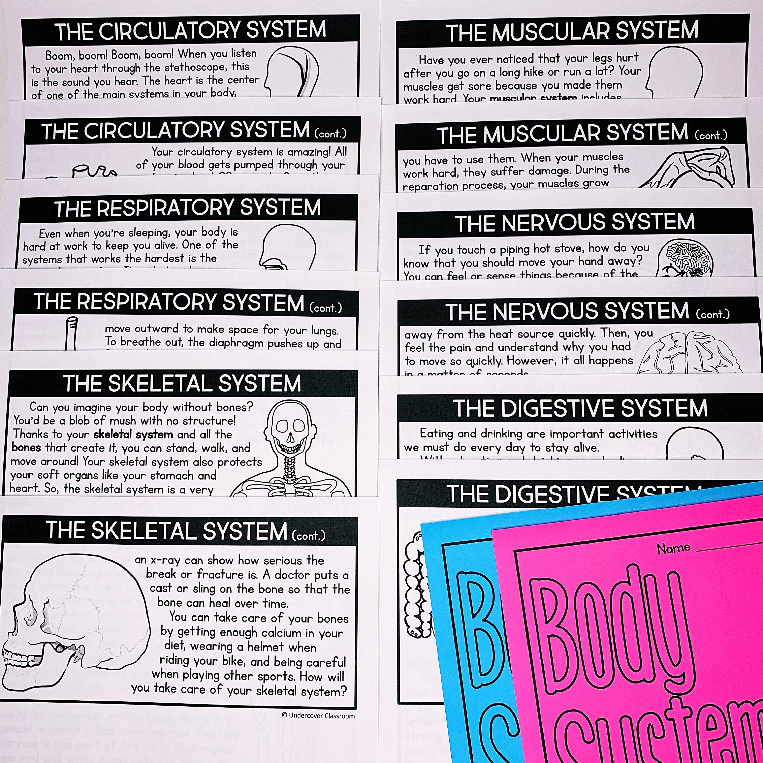Human Body Unit Teach Human Body Systems Passages Body Systems Posters ...