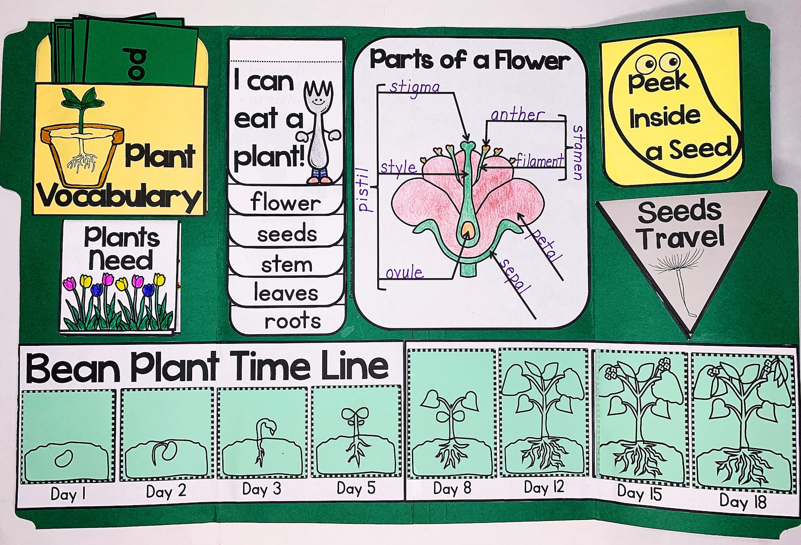 Plant Lapbook Homeschool Plant Reading Passages Parts of a Plant ...