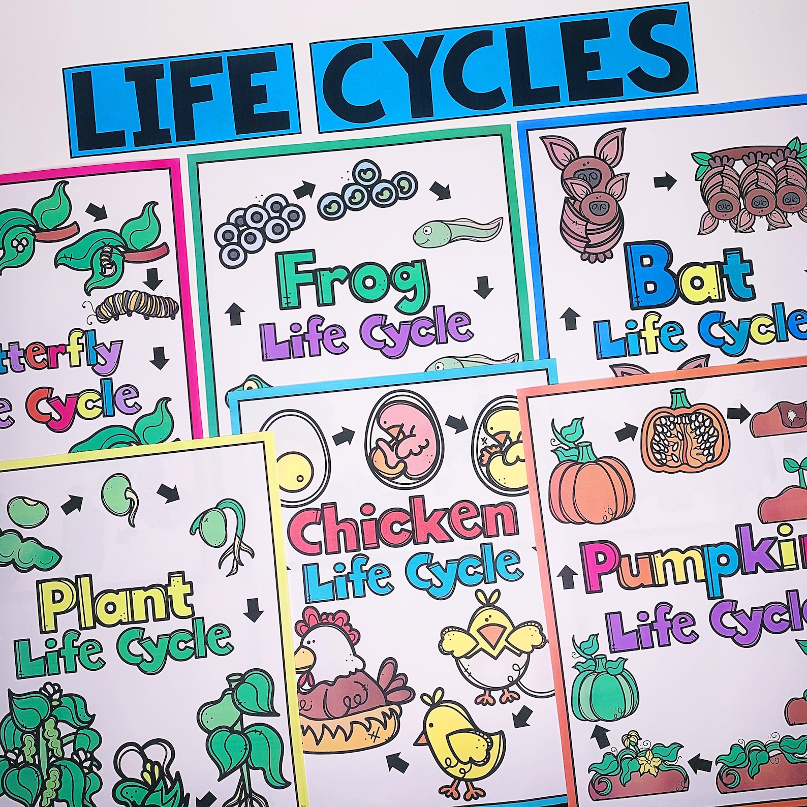 Life Cycles Lapbook Teach Life Cycles Reading Passages Life Cycles ...