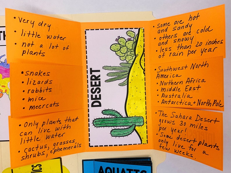 Biomes Lapbook Homeschool Biomes Reading Passages Biomes Maps - Etsy