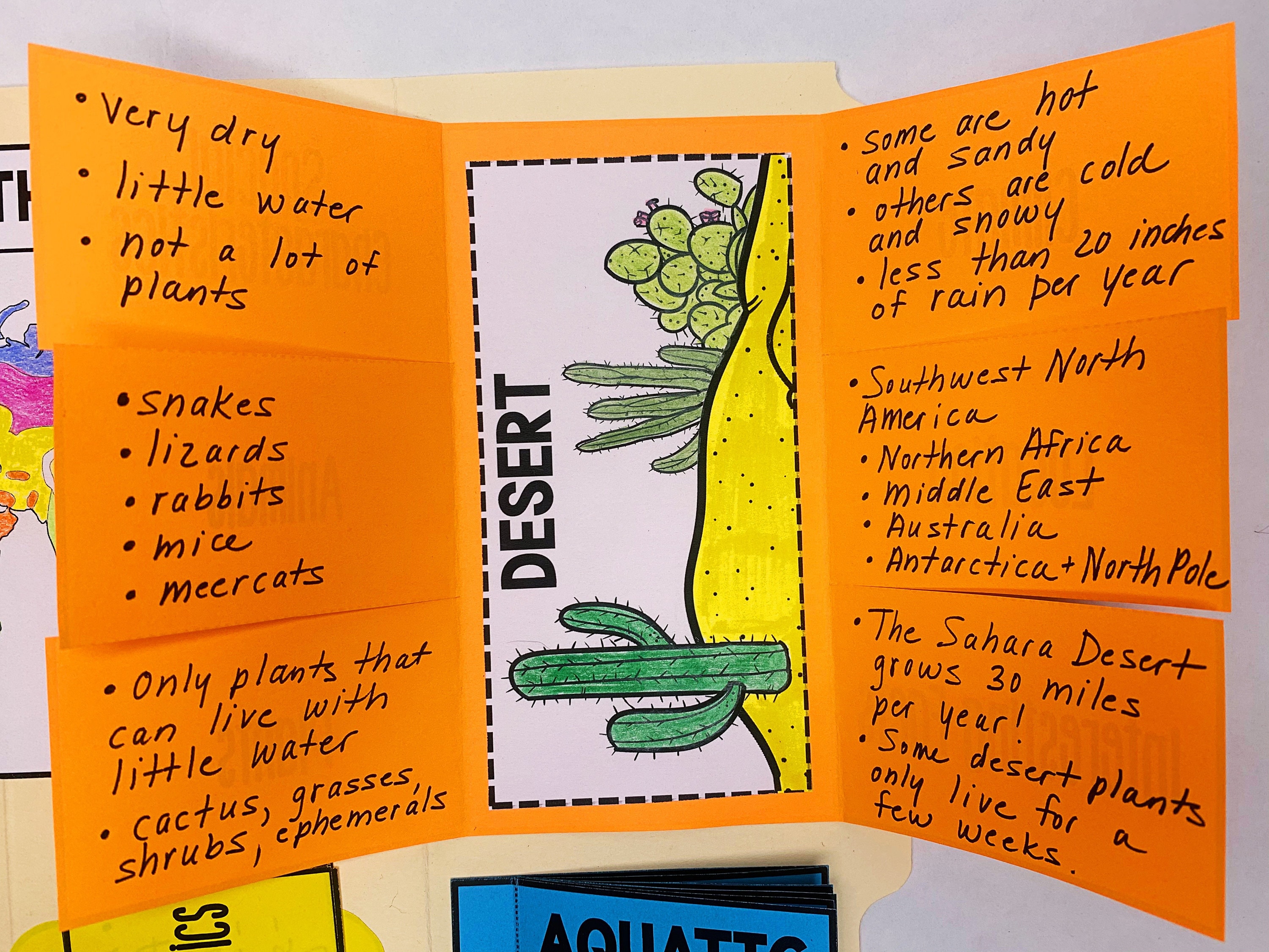 Biomas Lapbook Educación en el hogar Biomas Lectura de pasajes Mapas de ...