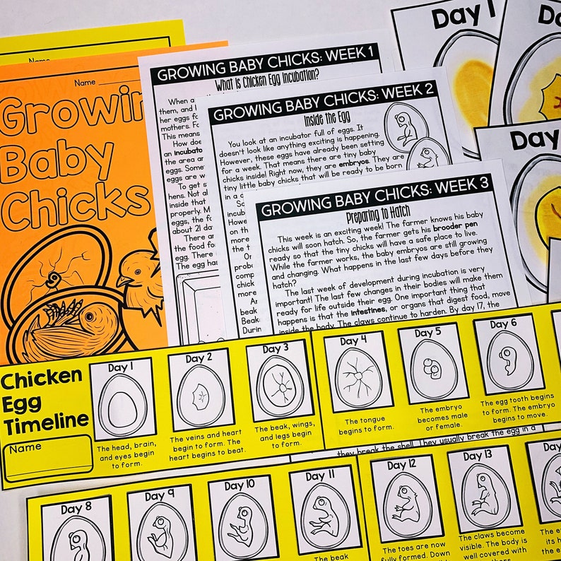 Chicken Egg Incubation Timeline Chicken Egg Tracker for Egg Incubator ...