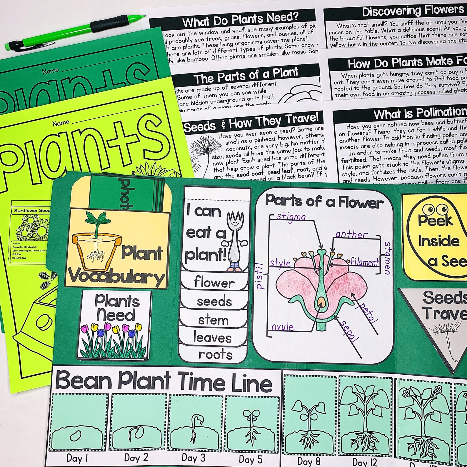 Plant Lapbook Homeschool Plant Reading Passages Parts of a Plant ...