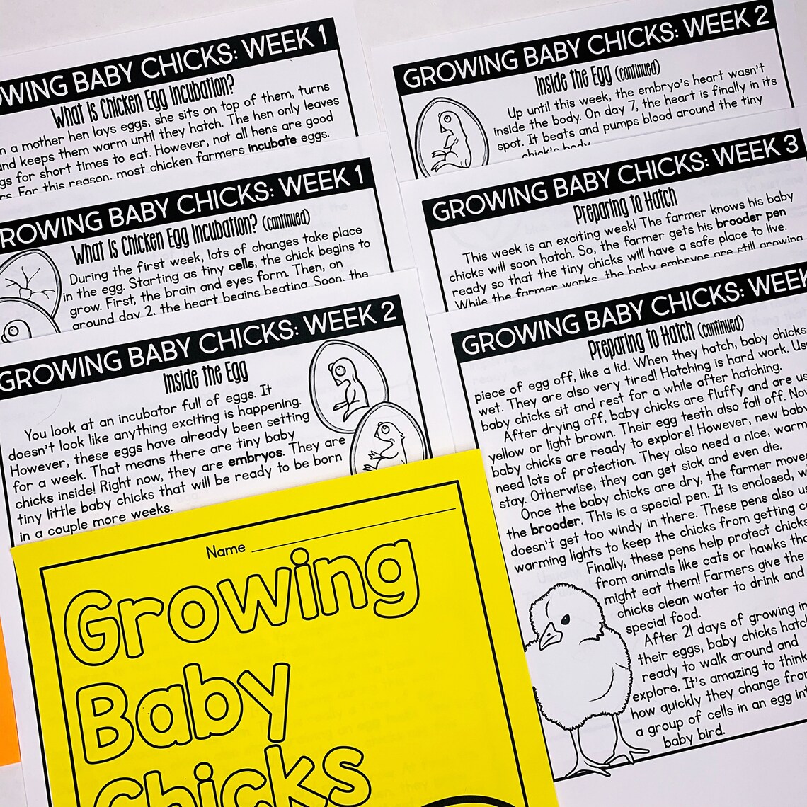 Chicken Egg Incubation Timeline Chicken Egg Tracker for Egg Incubator ...