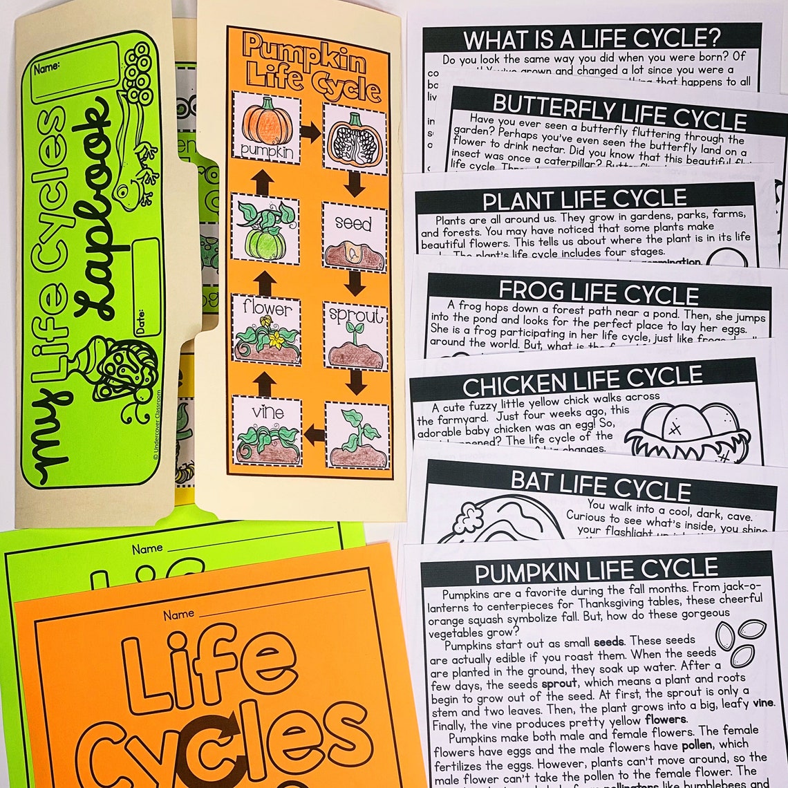 Life Cycles Lapbook Teach Life Cycles Reading Passages Life Cycles ...