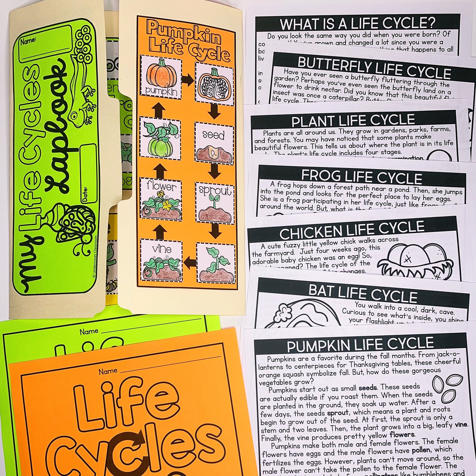 Life Cycles Lapbook Teach Life Cycles Reading Passages Life Cycles ...