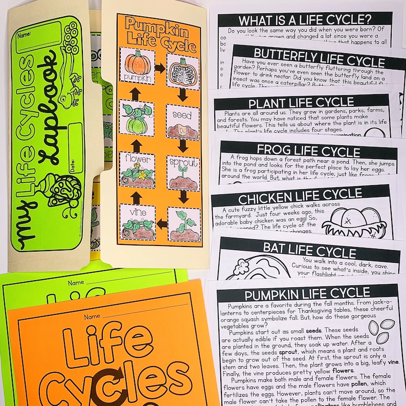 Life Cycles Lapbook Teach Life Cycles Reading Passages Life Cycles ...