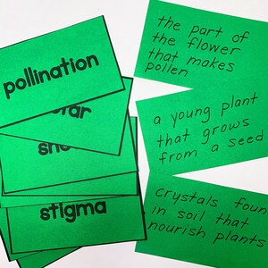 Plant Lapbook Homeschool Plant Reading Passages Parts of a Plant ...