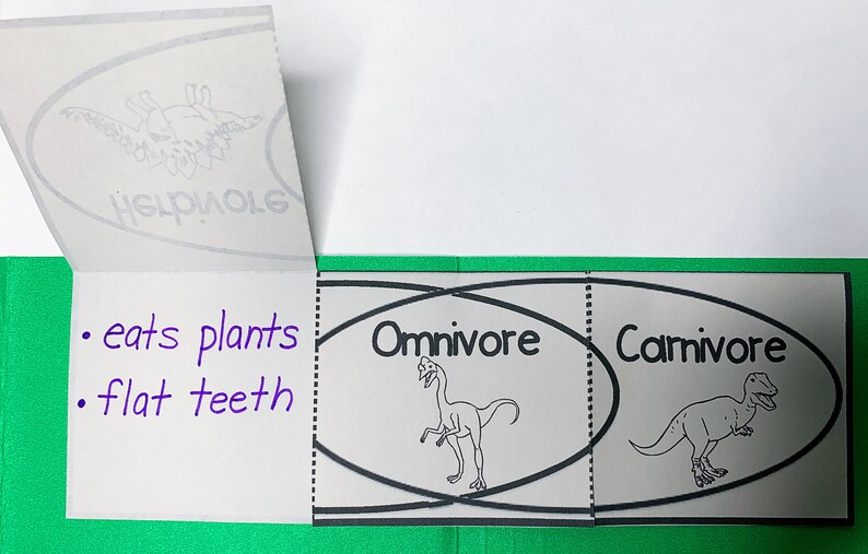 Dinosaur Lapbook Template Dinosaur Reading Passages Dinosaur Poster ...