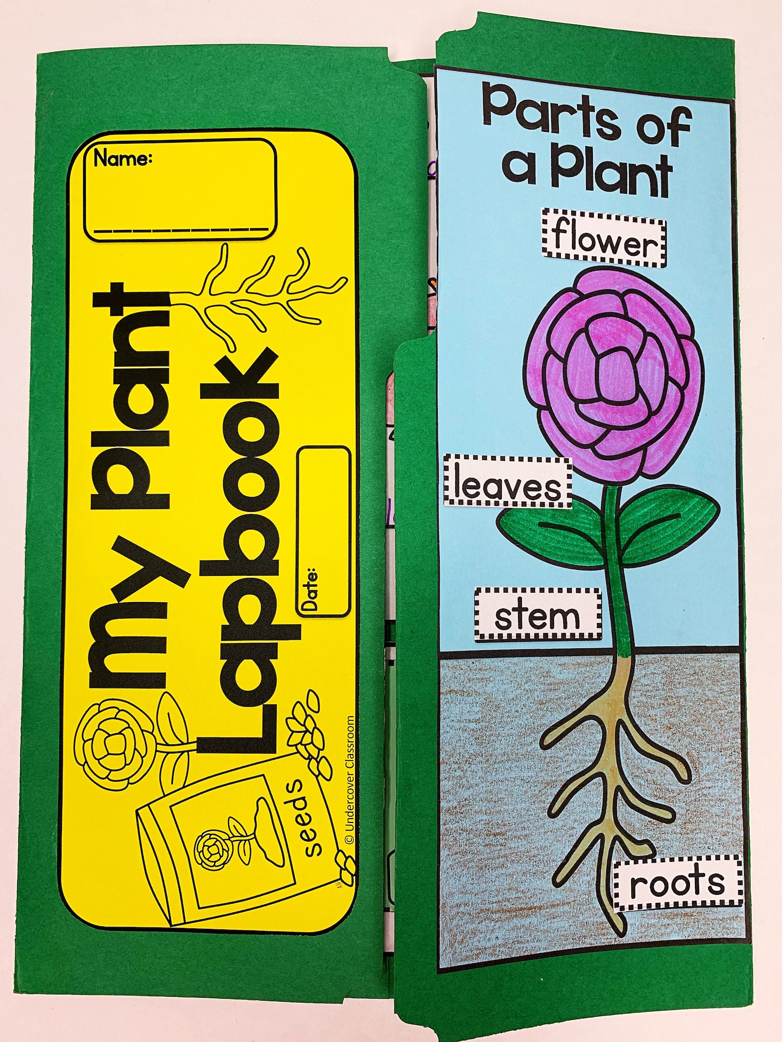 Plant Lapbook Homeschool Plant Reading Passages Parts of a Plant ...