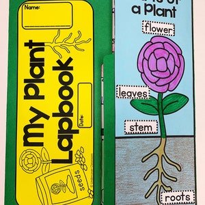 Plant Lapbook Homeschool Plant Reading Passages Parts of a Plant ...