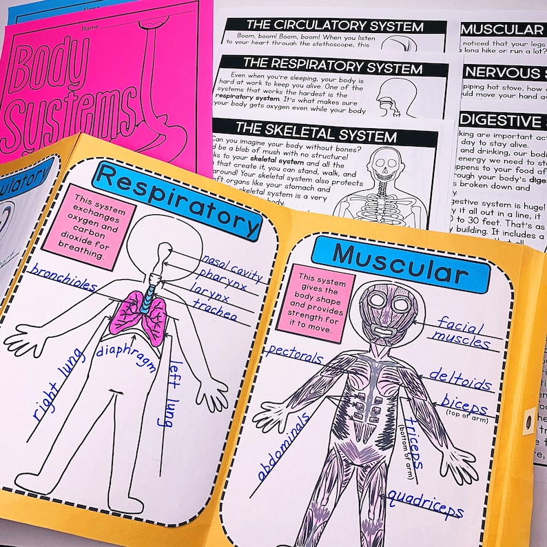 Human Body Unit Teach Human Body Systems Passages Body Systems Posters ...