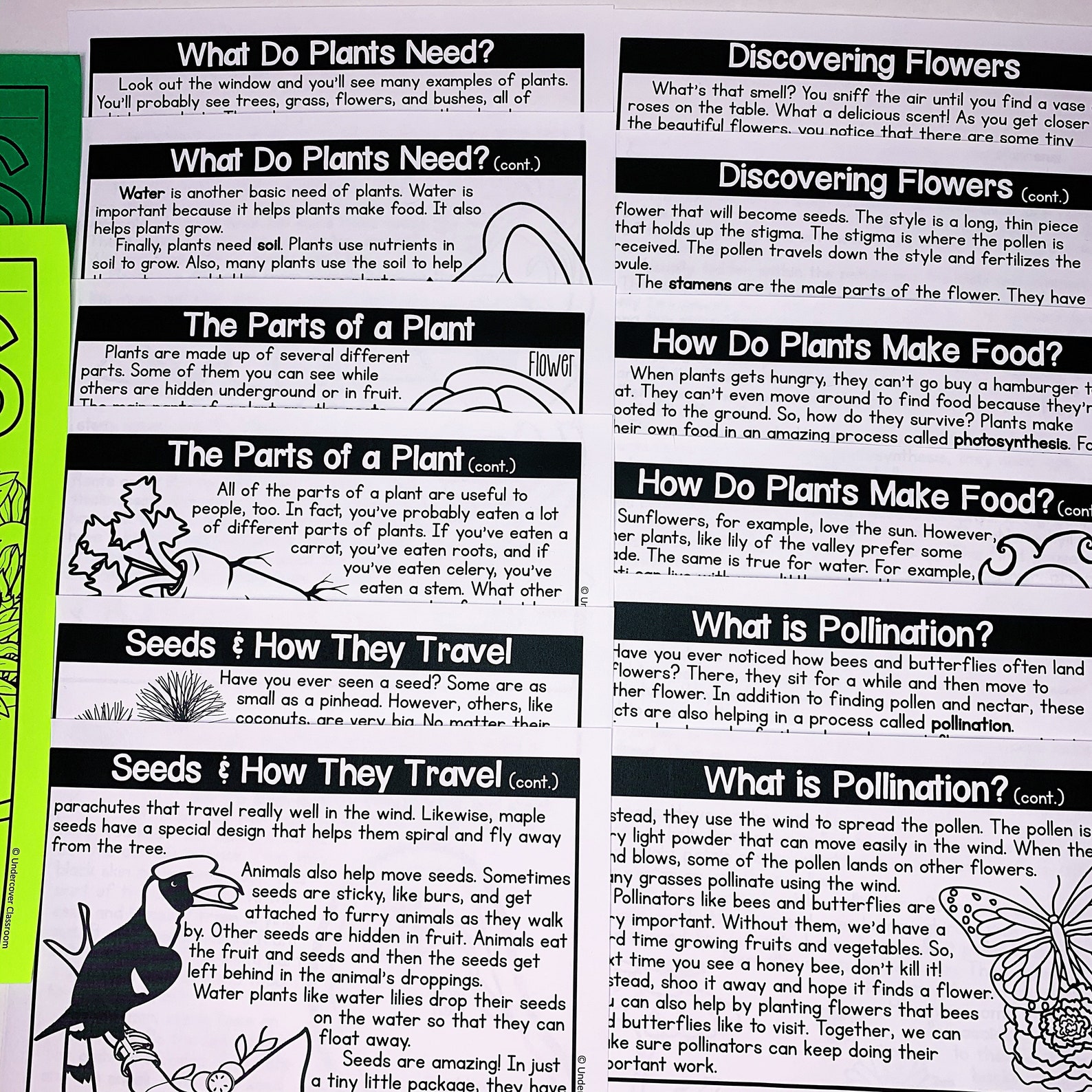 Plant Lapbook Homeschool Plant Reading Passages Parts of a Plant ...