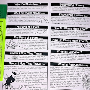 Plant Lapbook Homeschool Plant Reading Passages Parts of a Plant ...
