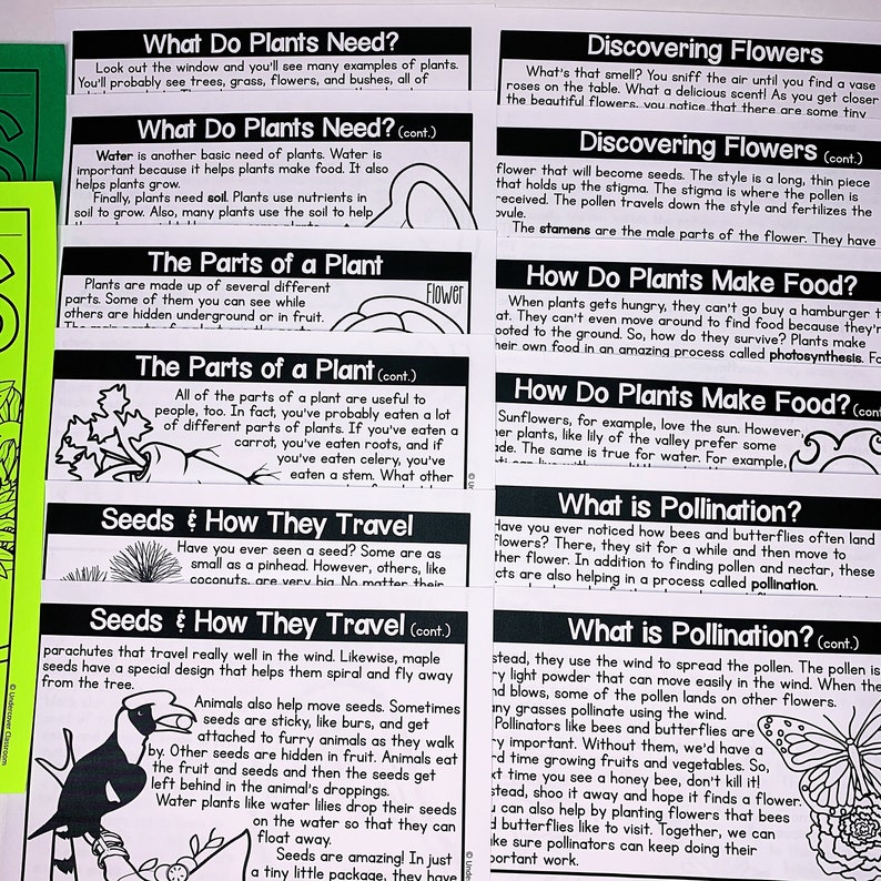 Plant Lapbook Homeschool Plant Reading Passages Parts of a Plant ...