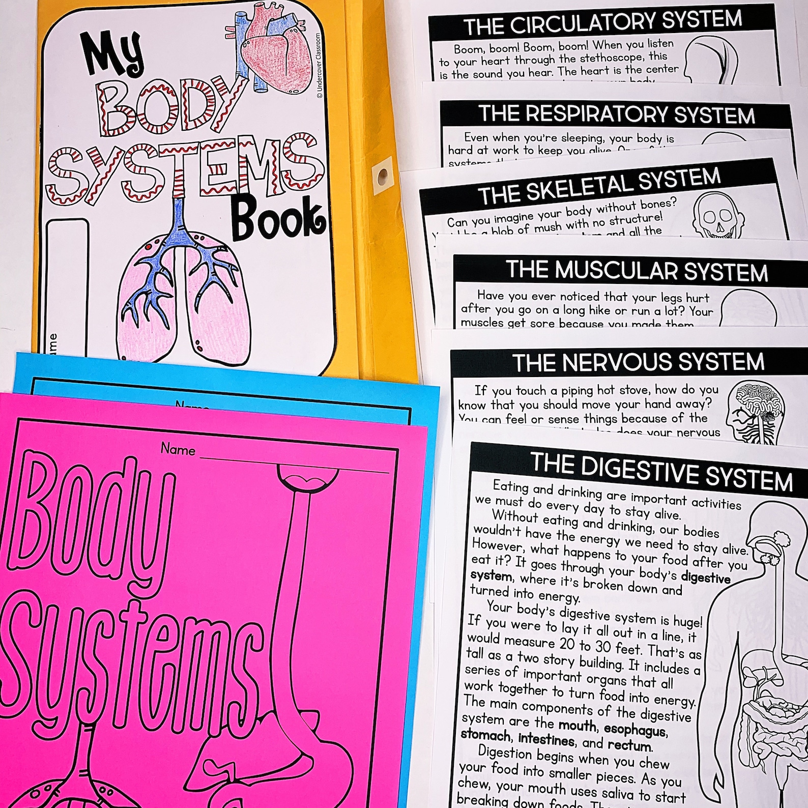 Human Body Unit Teach Human Body Systems Passages Body Systems Posters ...
