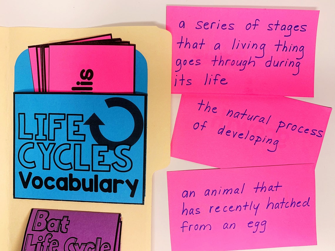 Life Cycles Lapbook Teach Life Cycles Reading Passages Life Cycles ...