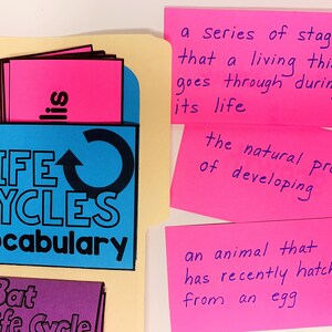 Life Cycles Lapbook Teach Life Cycles Reading Passages Life Cycles ...