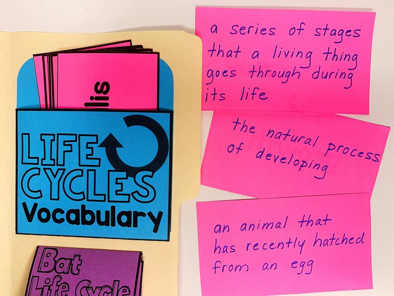 Life Cycles Lapbook Teach Life Cycles Reading Passages Life Cycles ...