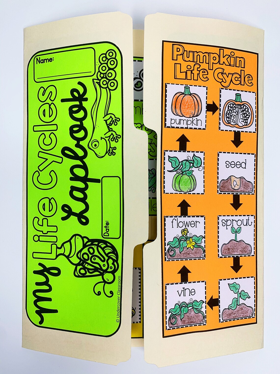 Life Cycles Lapbook Teach Life Cycles Reading Passages Life Cycles ...