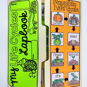 Life Cycles Lapbook Teach Life Cycles Reading Passages Life Cycles ...