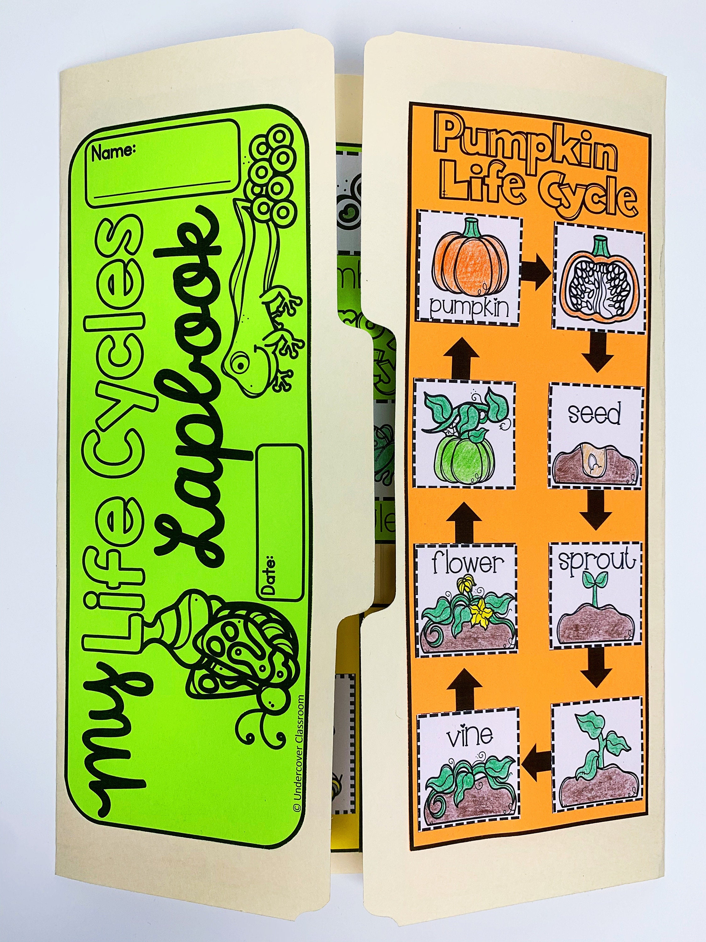 Life Cycles Lapbook Teach Life Cycles Reading Passages Life Cycles ...