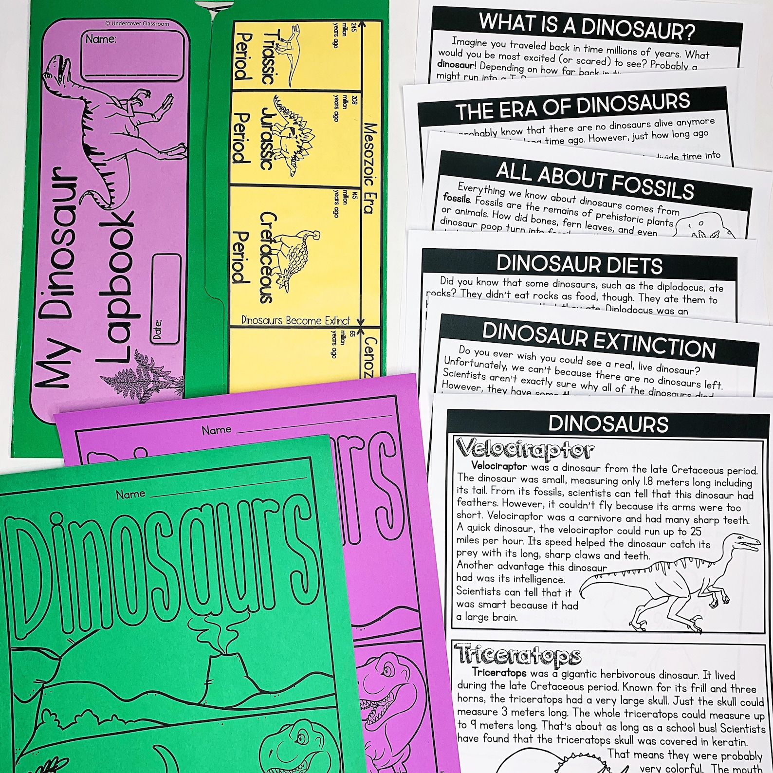 Dinosaur Lapbook Template Dinosaur Reading Passages Dinosaur Poster ...