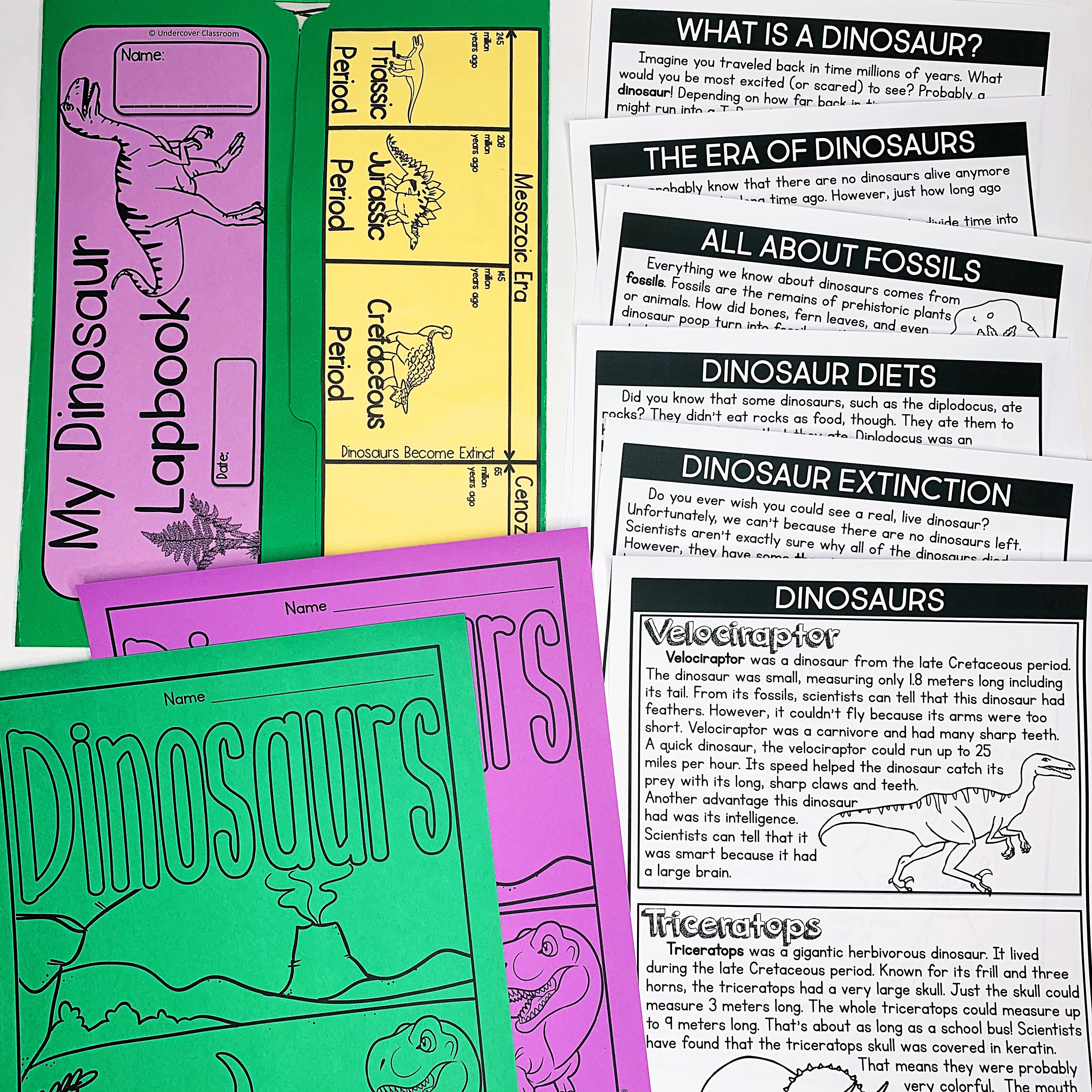 Dinosaur Lapbook Template Dinosaur Reading Passages Dinosaur Poster ...