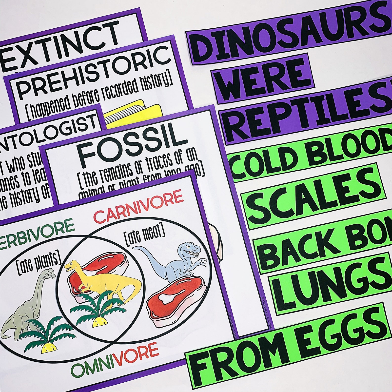 Dinosaur Lapbook Template Dinosaur Reading Passages Dinosaur Poster ...