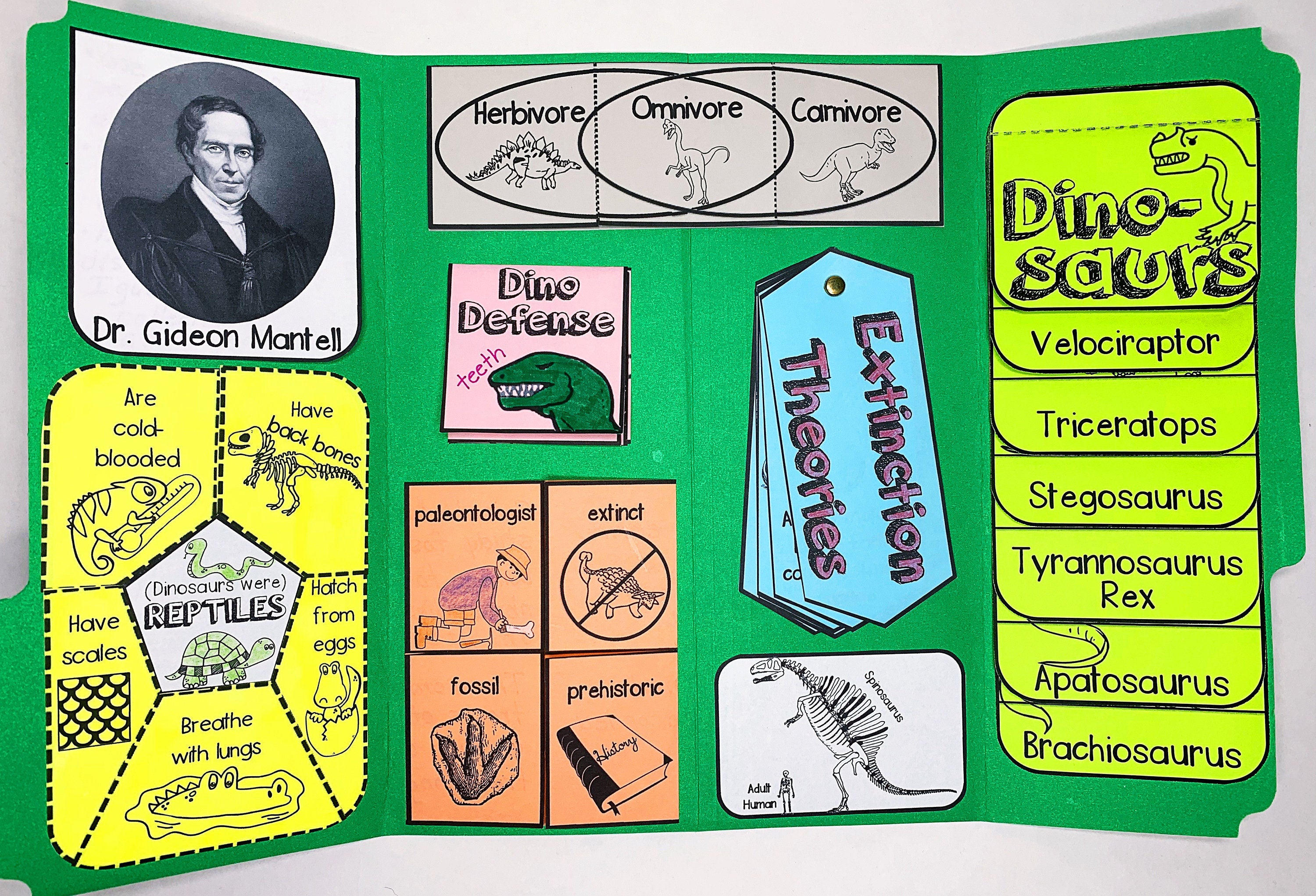 Dinosaur Lapbook Template Dinosaur Reading Passages Dinosaur Poster ...