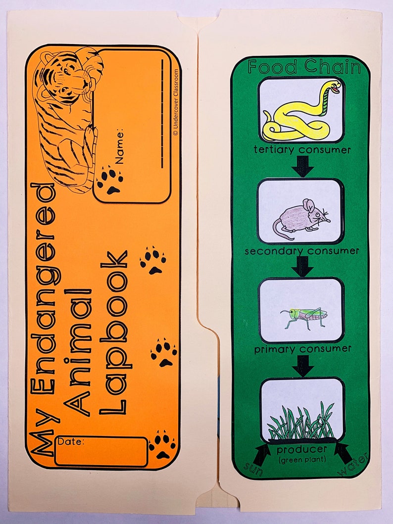 Endangered Animals Lapbook Teach Endangered Animals Reading Passages ...